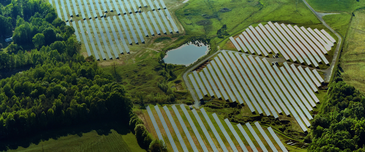 Screening: The Use of Landscape as a Buffer | Ollo